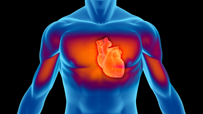 How Inflammation Damages Your Heart And What To Do About It